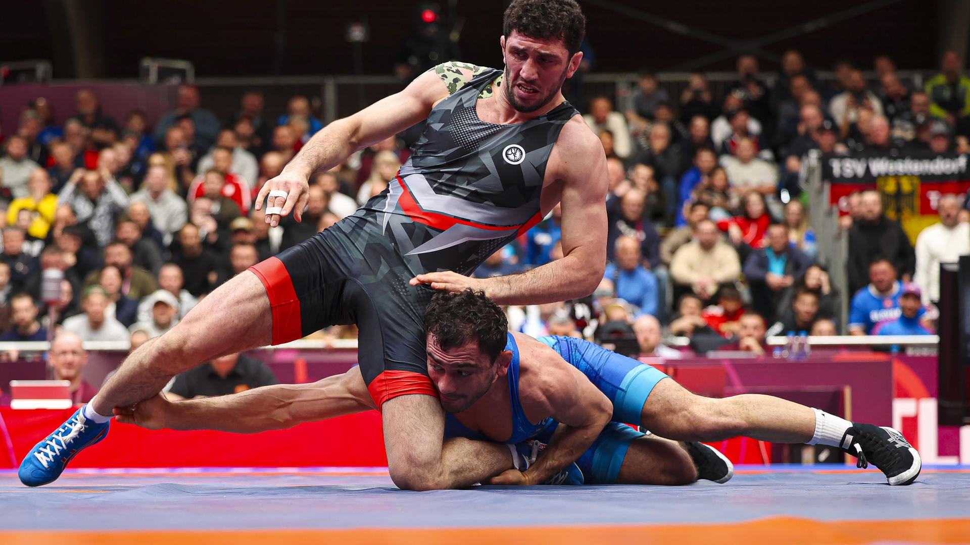 Live Report: European Championships Freestyle Results