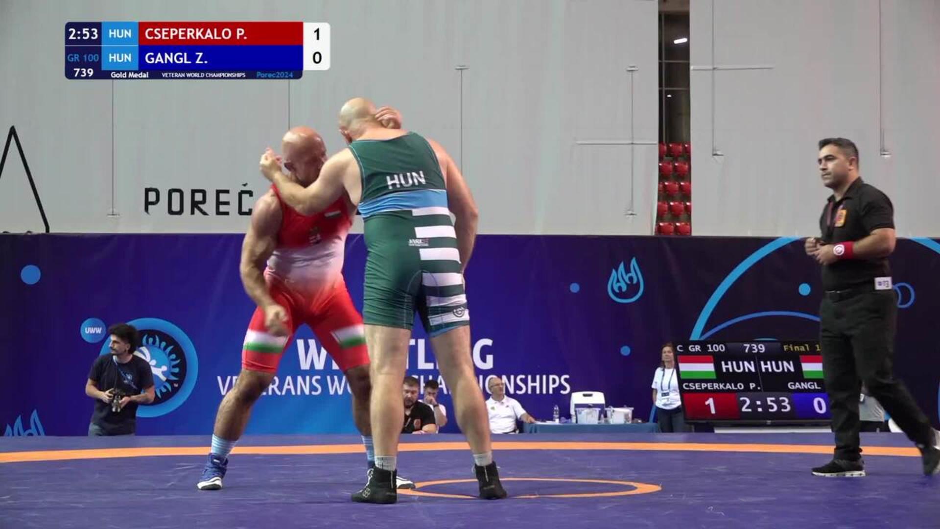Peter CSEPERKALO (HUN) vs. Zoltan GANGL (HUN) | VETERAN WORLD CHAMPIONSHIPS 2024 | Gold Medal ...