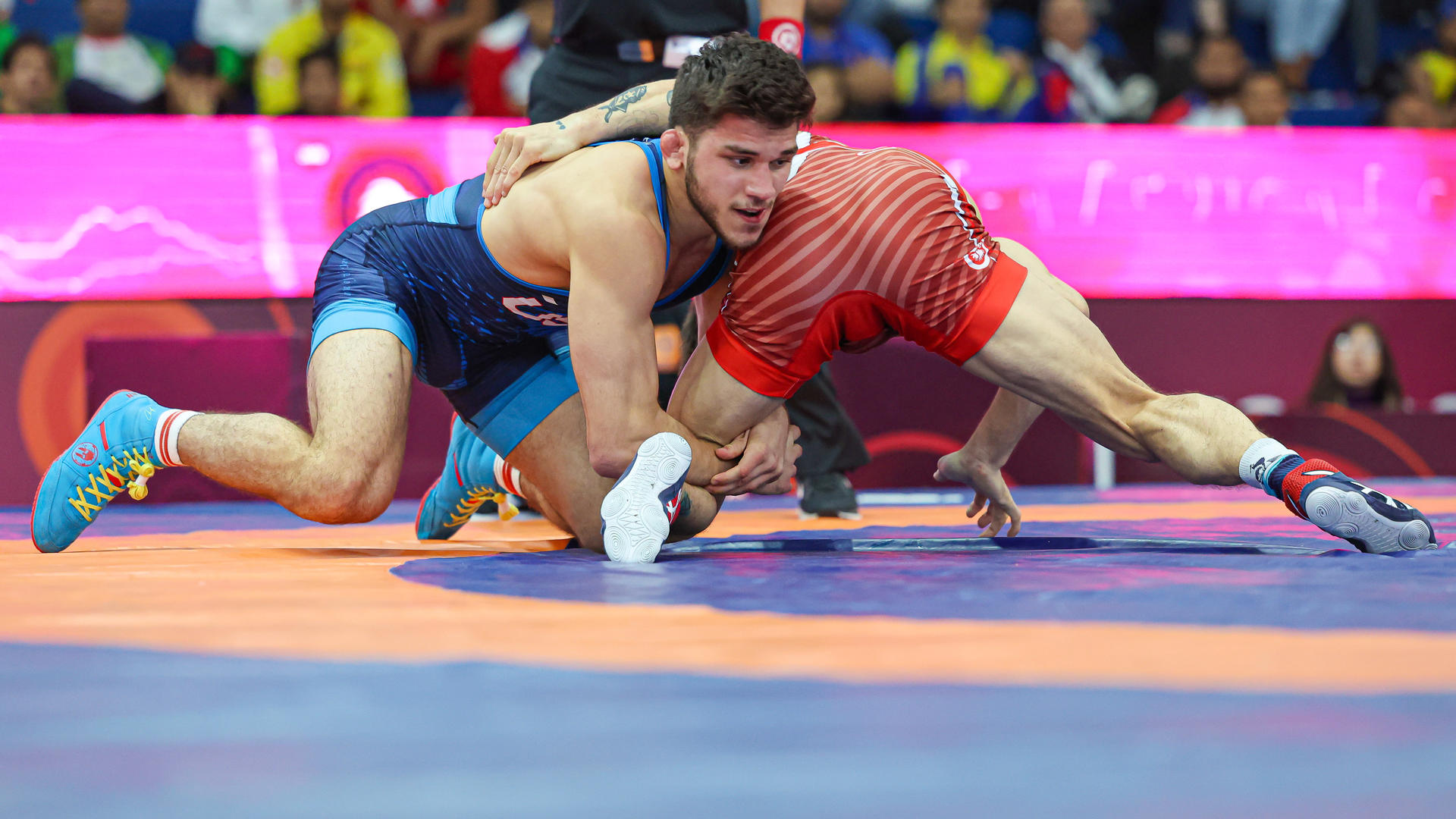 Pan-Am Olympic Qualifier 2024 Entries